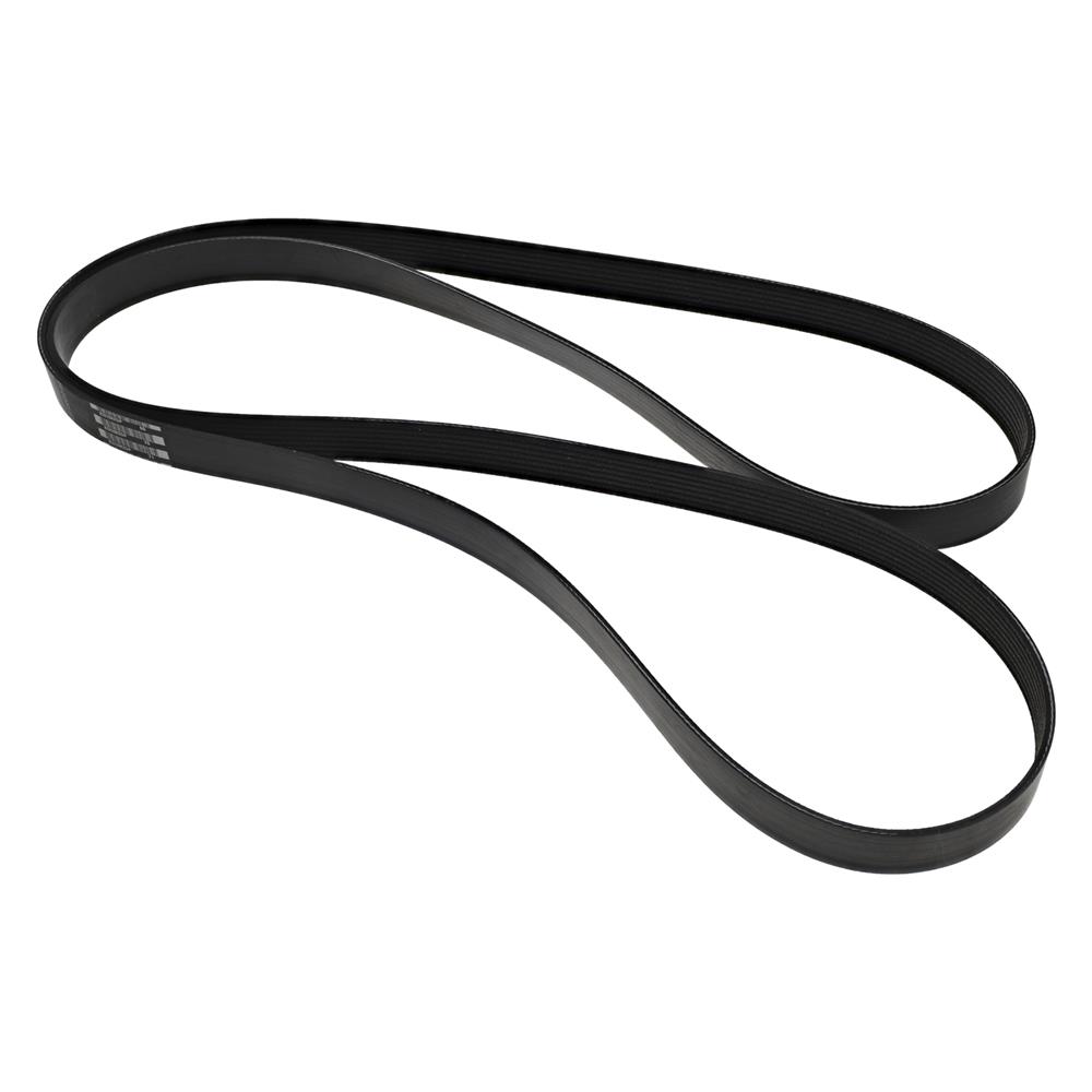 Motorcraft F-150 SVT Lightning Serpentine Belt (99-04) JK8-996-AA