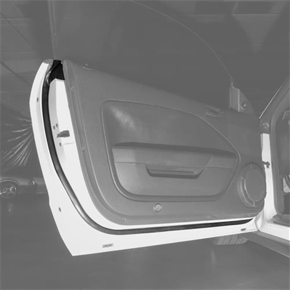 Mustang Lower Door To Body Weatherstrip Kit (05-09) G5ZZ-6320530