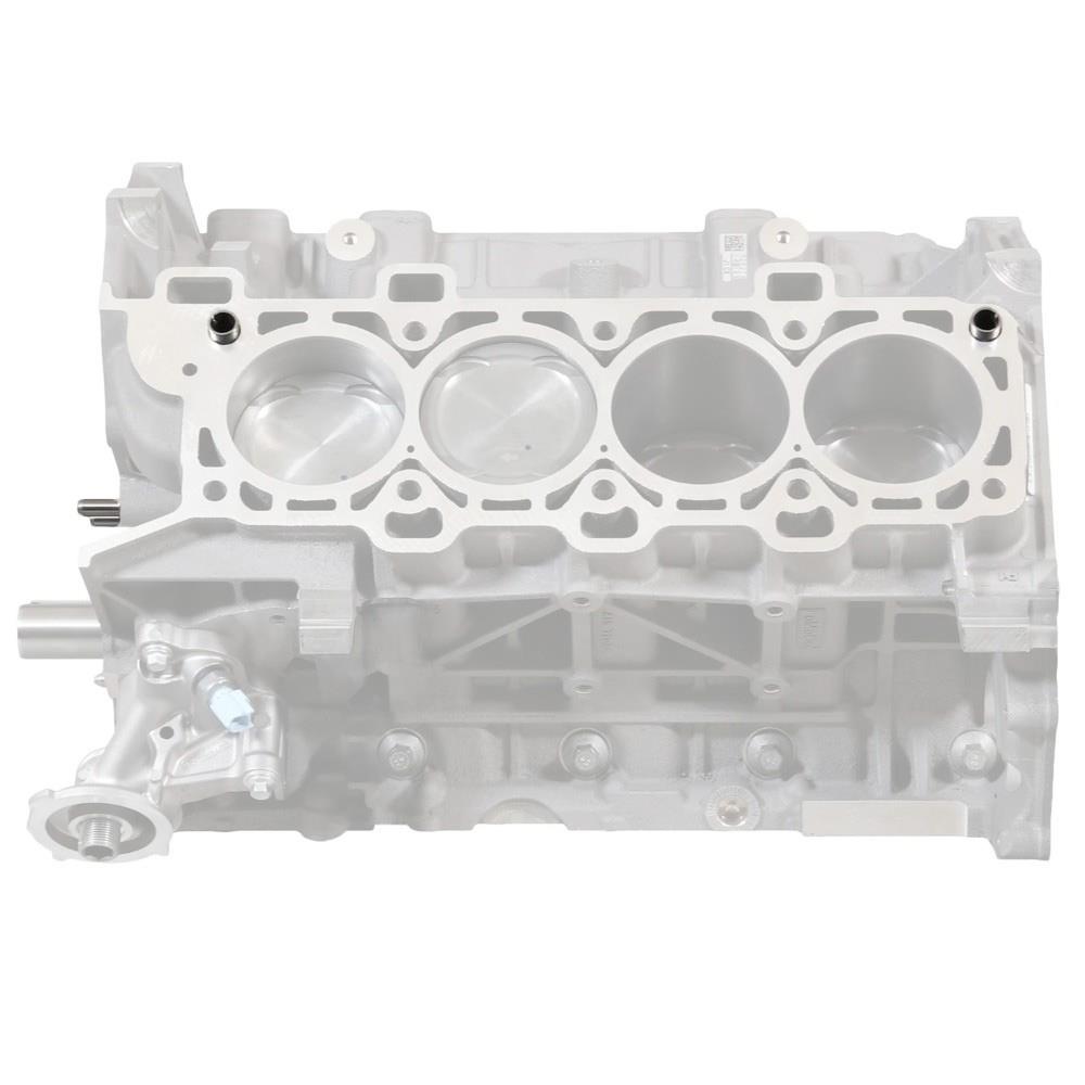 Ford Performance Coyote Race Block Plug & Dowel Kit 5.0 M-6026-M50X