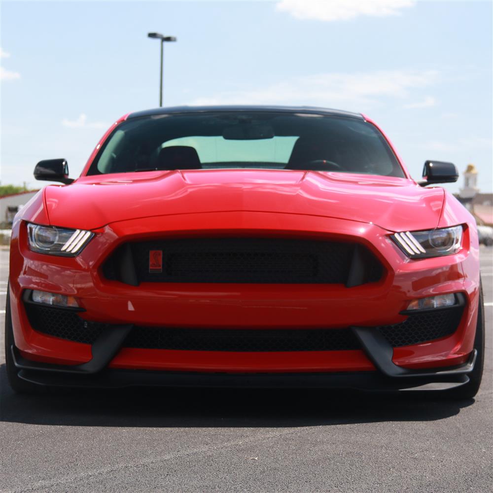 Mustang Shelby GT350R Upper Grille (16-20) FR3Z-8200-BB